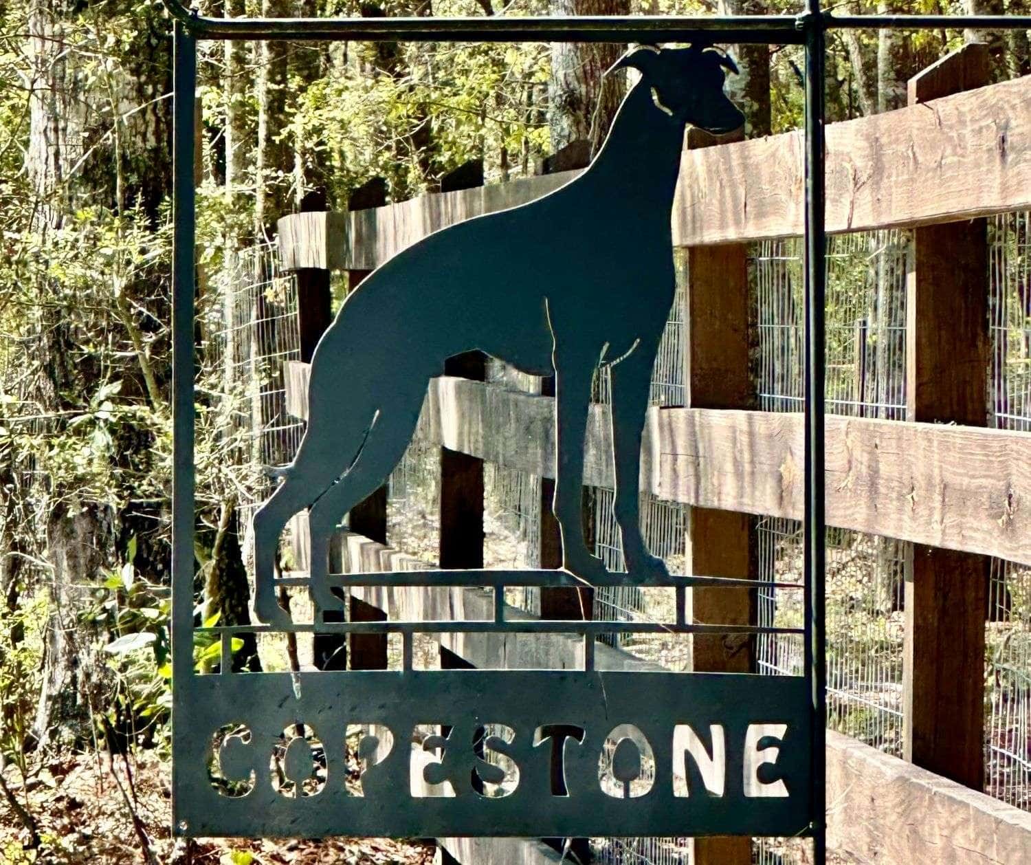 Contact Us | Copestone Whippets