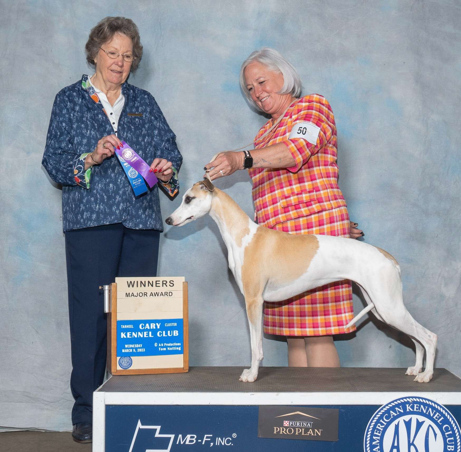 Karasar’s Royal Sunrise | Copestone Whippets